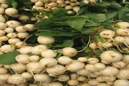 SUBSTANTELE NUTRITIVE CONTINUTE DE NAPI